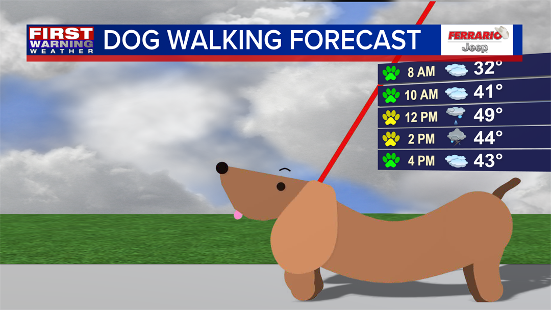 Dog Walking Forecast - WENY News