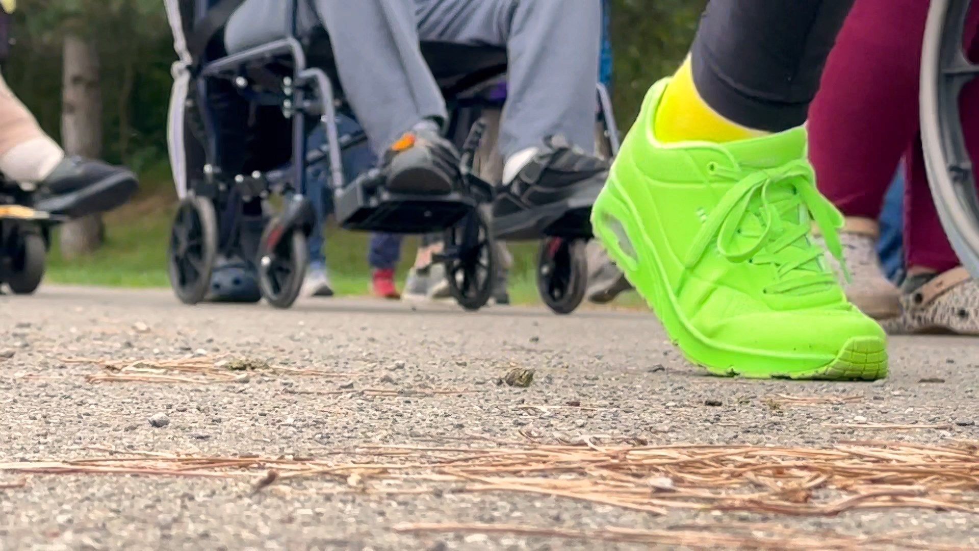Lackawanna Rail Trail parkrun is first in NYS - WENY News