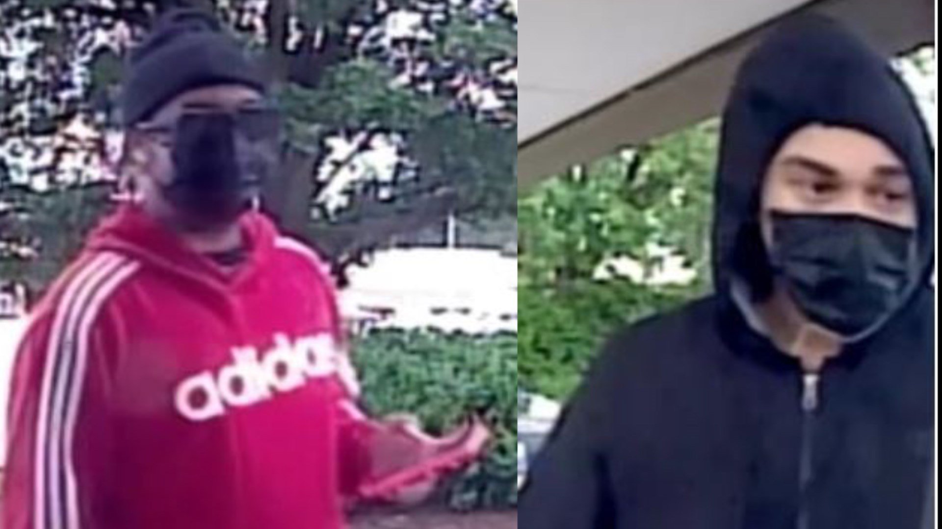 Ny State Police Asks For Publics Help Iding Theft Suspects Weny News