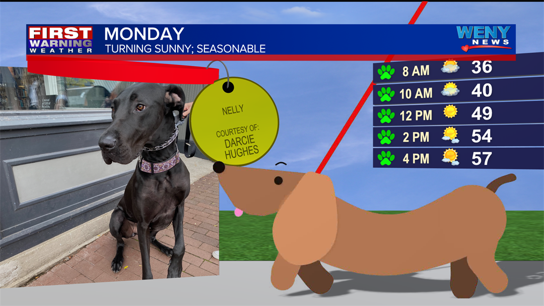 Dog Forecast - WENY News