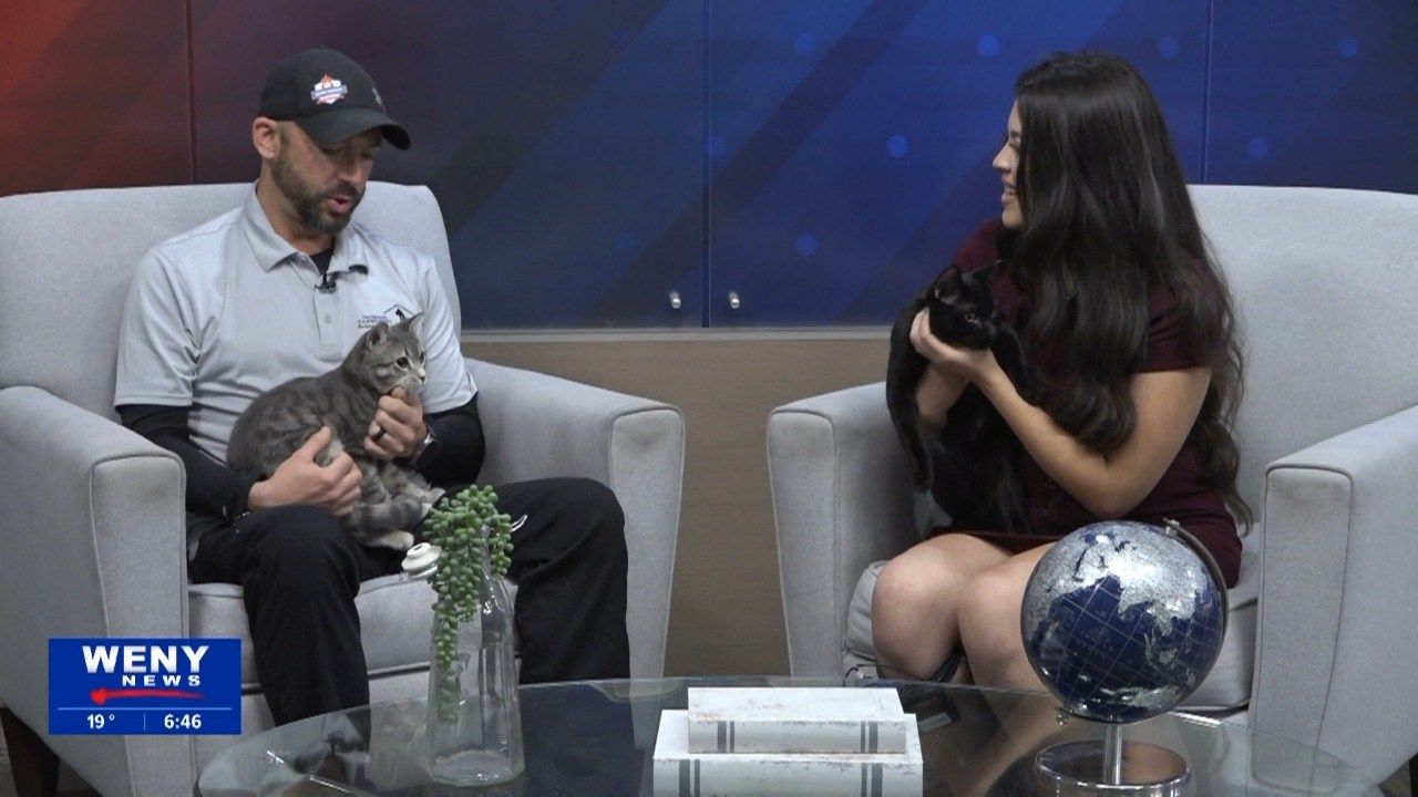 Meet Mayhem and Riot, WENY's Pet of the Week! - WENY News