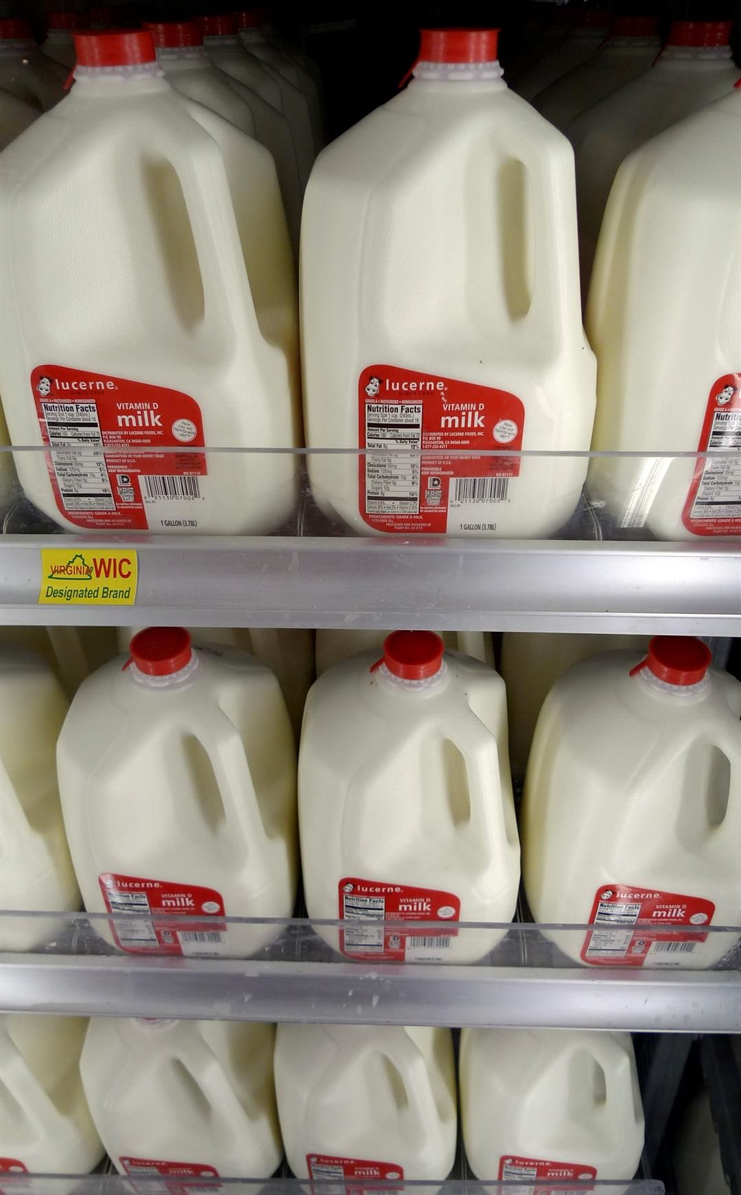 U.S. House Passes Bill to Allow Whole, Reduced-Fat Milk in School Cafeterias - WENY News