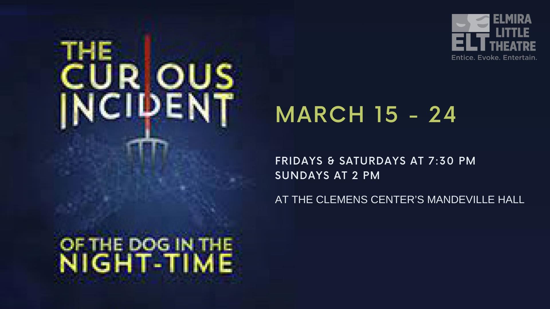 Elmira Little Theatre presents: 'The Curious Incident of the Dog in the ...