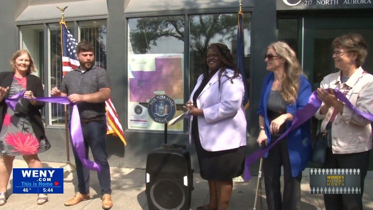 Breaking Barriers: Inside Senator Lea Webb's fight for diverse ...