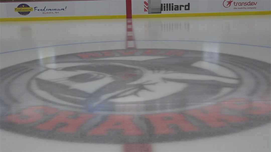 CCIDA confident in First Arena plans as the River Sharks approach the ...