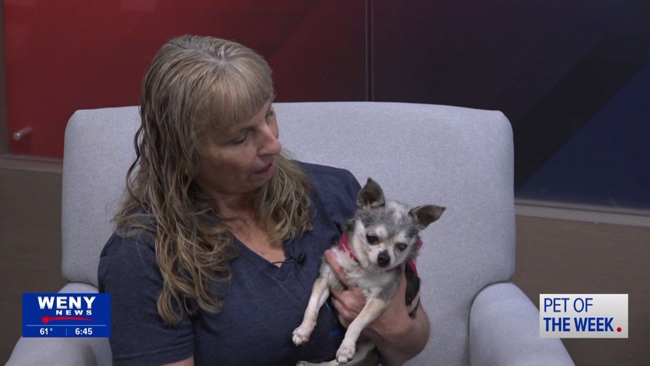 Meet Poppy, WENY's Pet of the Week - WENY News