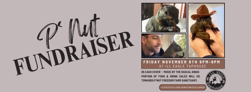 Benefit being held for P'Nuts Freedom Farm Animal Sanctuary - WENY News