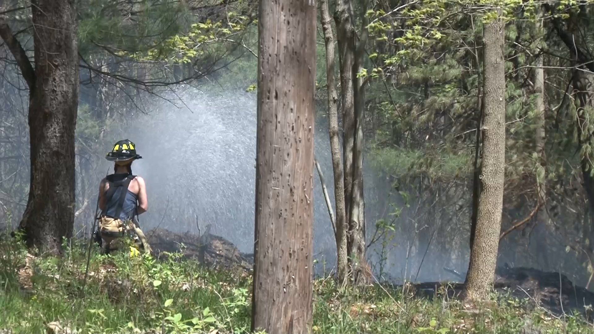 Brushfires Erupt Across New York State: What You Need to Know - WENY News