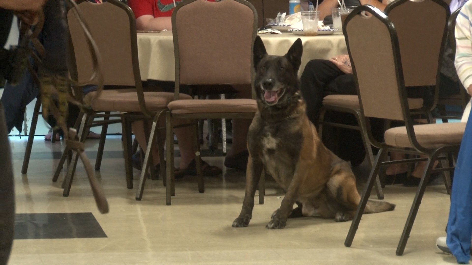 'Paws for Laws' fundraiser raises money for NYSP K-9 Unit - WENY News
